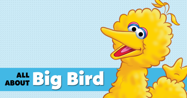 Five Feathery Facts About Big Bird - Studio Fun International