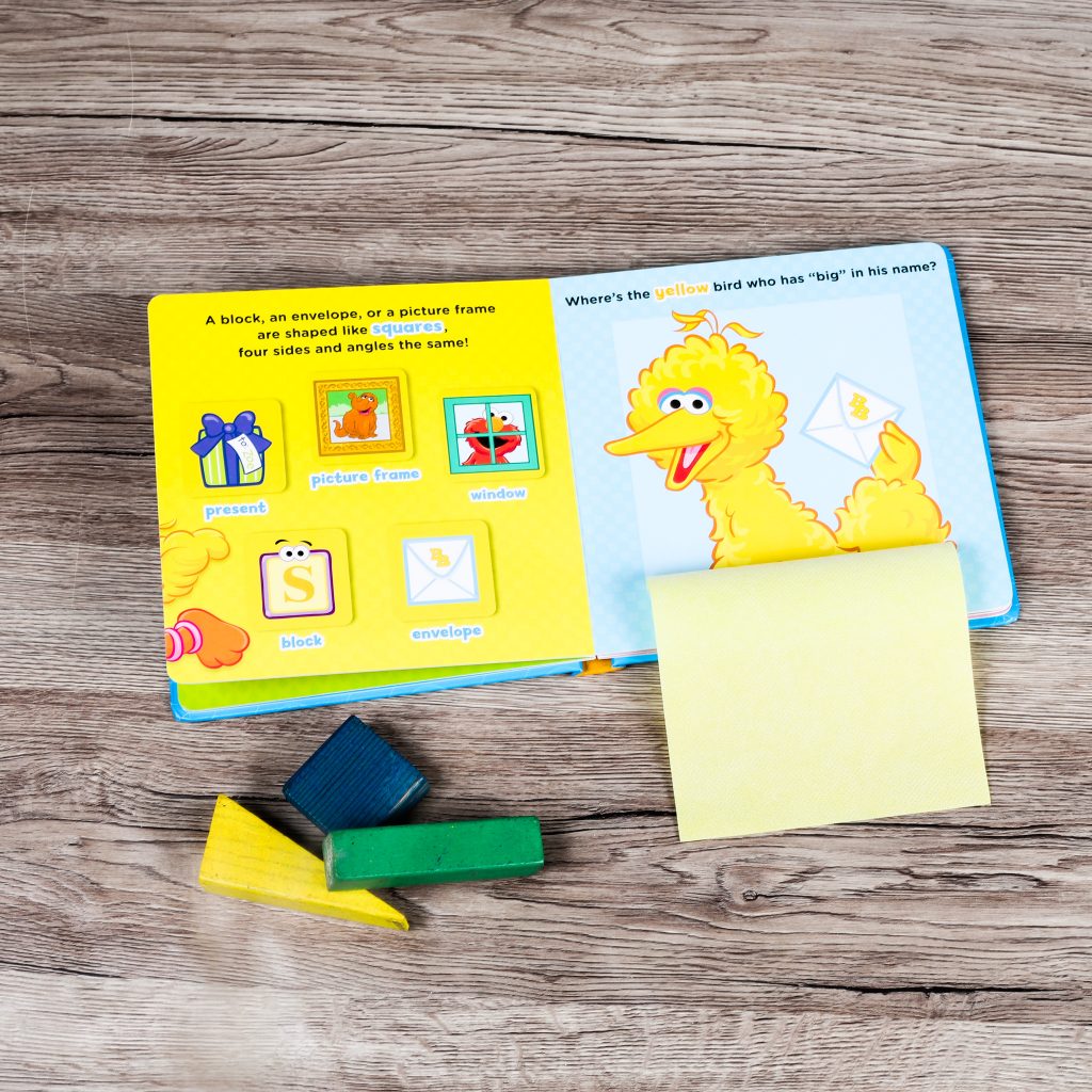 Five Feathery Facts About Big Bird - Studio Fun International